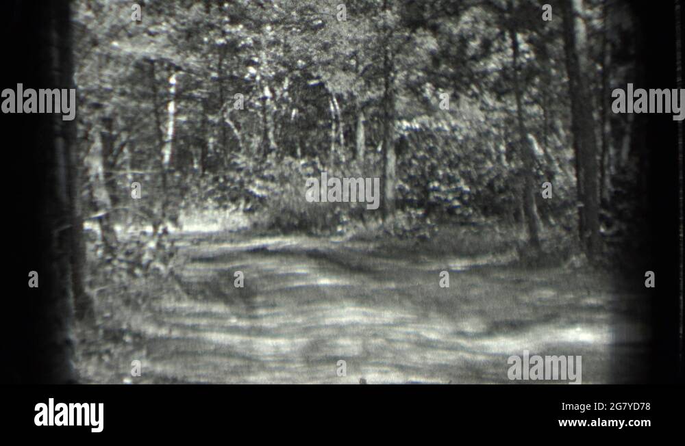 LONG LAKE CANADA-1939: A Lush Green Forest With Trees Bush Road And ...
