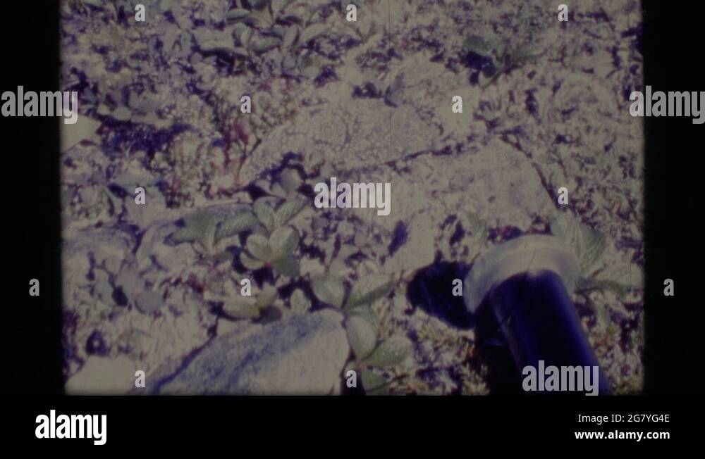 Tube in ground Stock Videos & Footage - HD and 4K Video Clips - Alamy