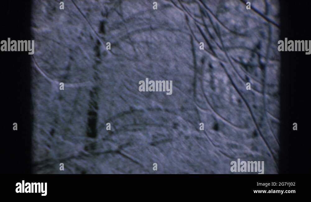 Less trees there are Stock Videos & Footage - HD and 4K Video Clips - Alamy