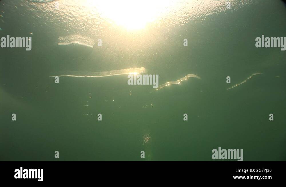 Bubbles oxygen Stock Videos & Footage - HD and 4K Video Clips - Alamy