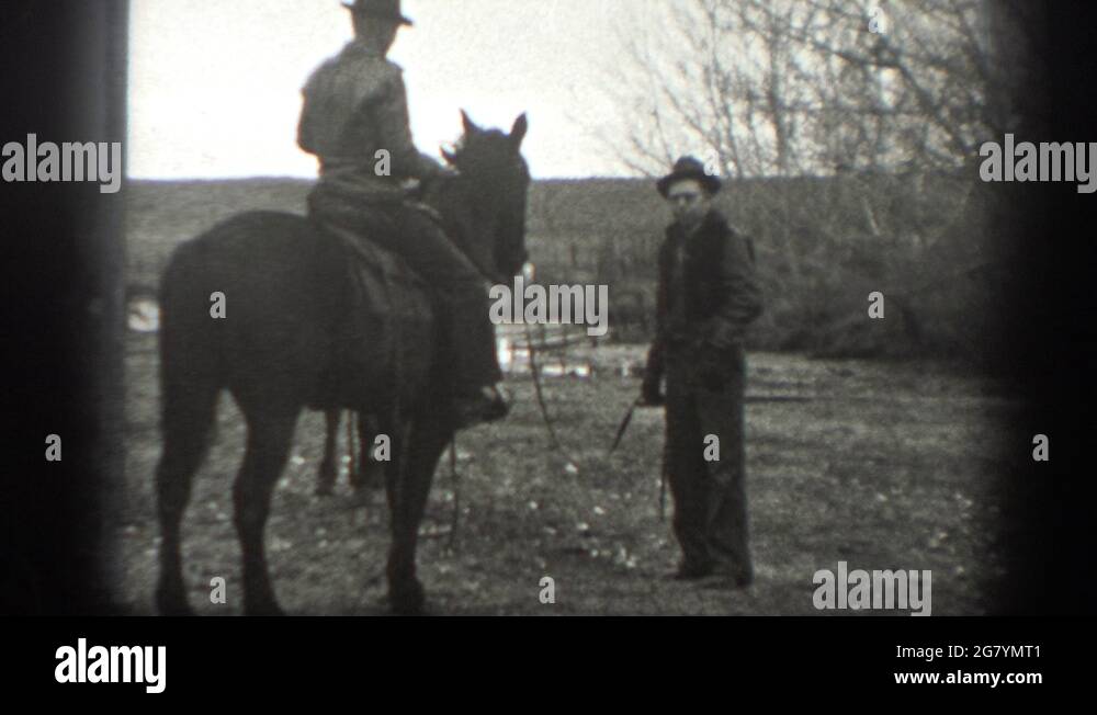 Herding the cows Stock Videos & Footage - HD and 4K Video Clips - Alamy