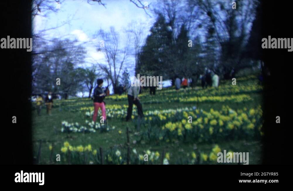 CALIFORNIA USA-1969: The Persons Are Seeing In The Flower Exhibition ...
