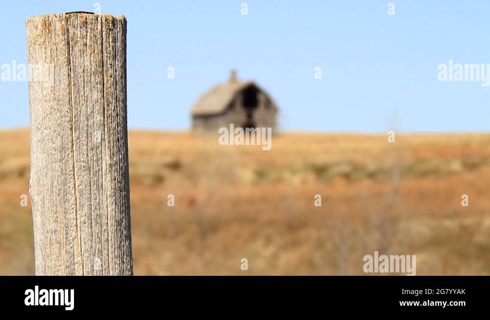 Classification of oats Stock Videos & Footage - HD and 4K Video Clips ...