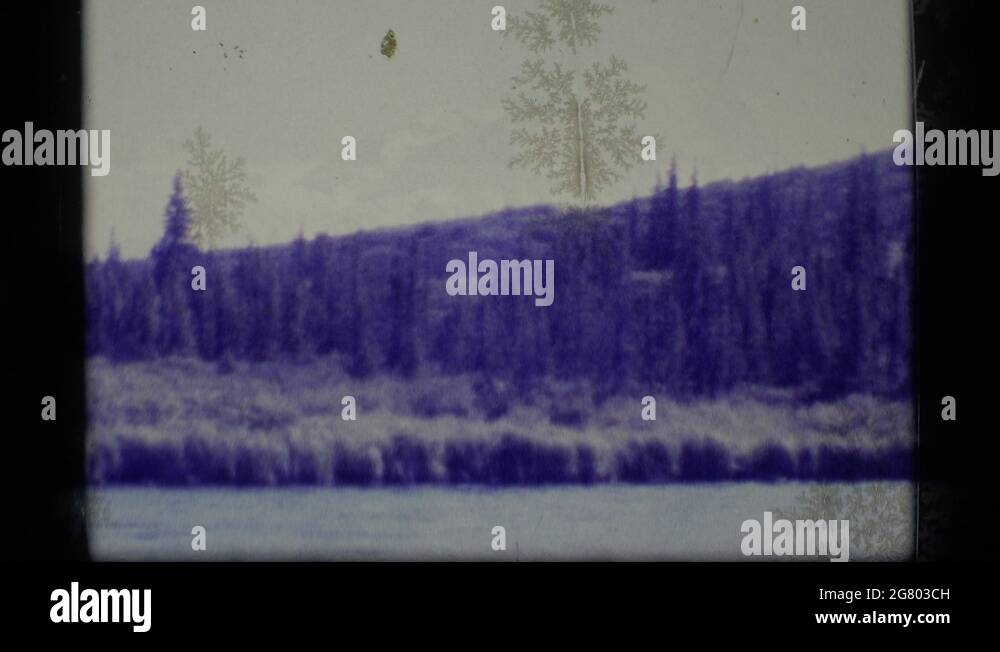 Swamp conditions Stock Videos & Footage - HD and 4K Video Clips - Alamy