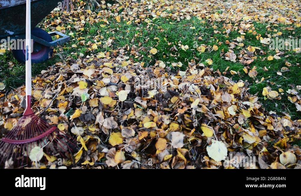 A rake wheelbarrow Stock Videos & Footage - HD and 4K Video Clips - Alamy