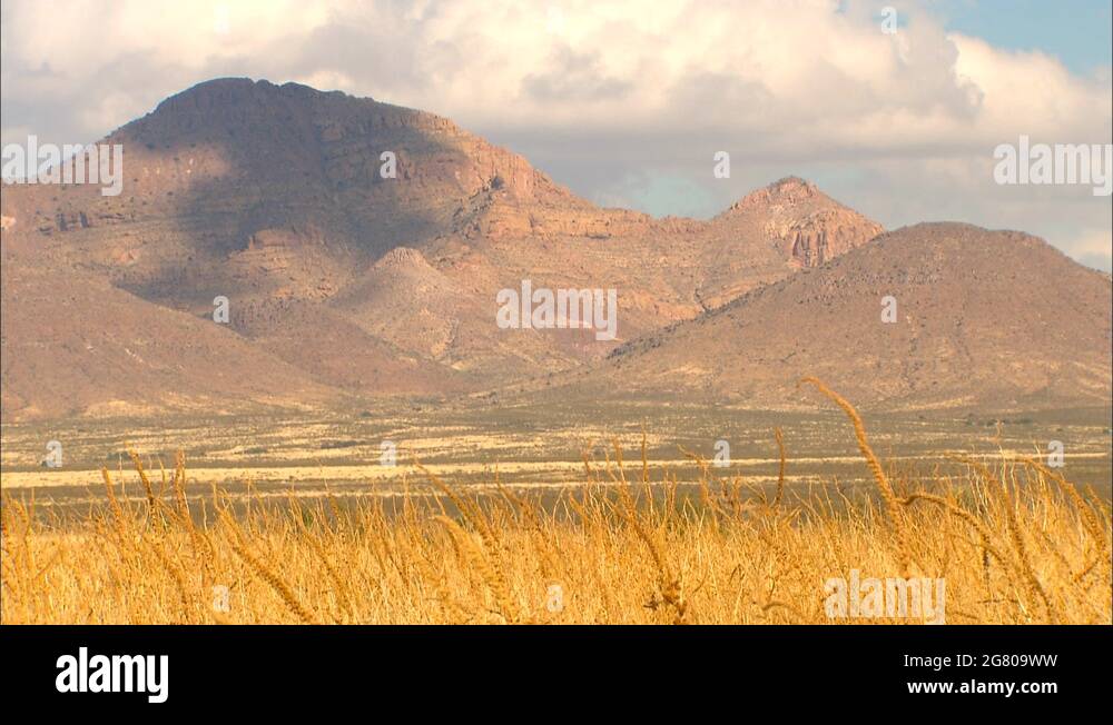 Range grass Stock Videos & Footage - HD and 4K Video Clips - Alamy