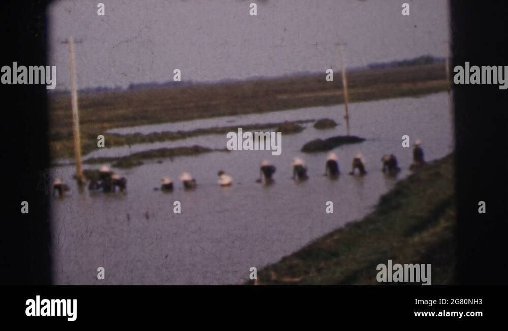 Waste deep Stock Videos & Footage - HD and 4K Video Clips - Alamy