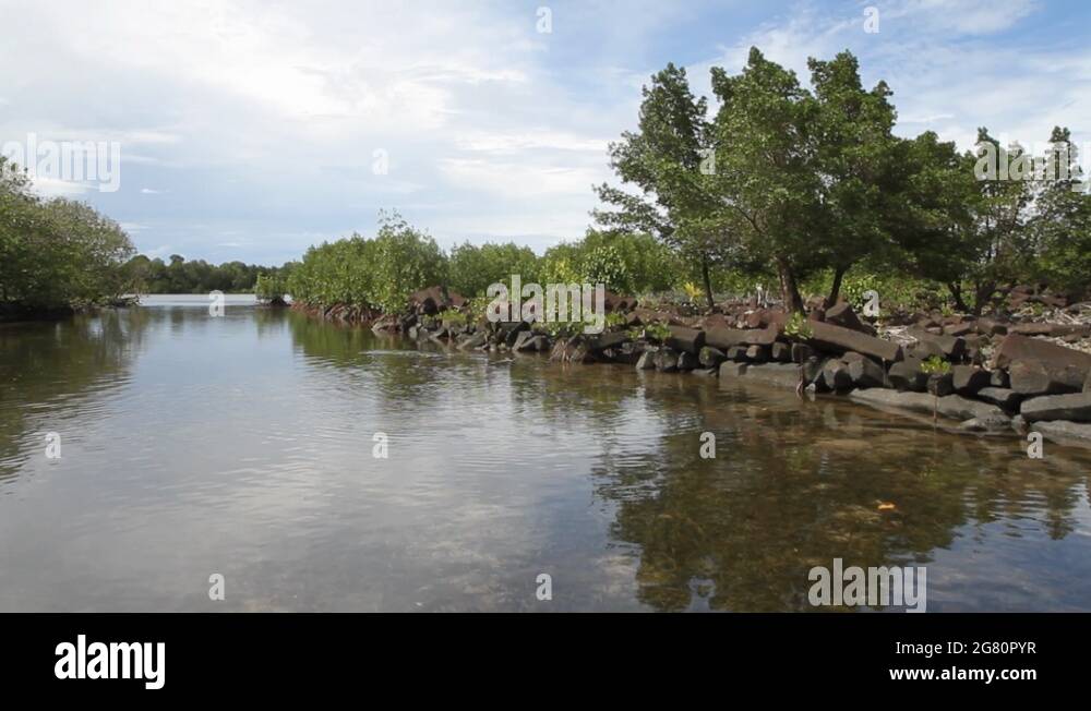 Pacific island ruins Stock Videos & Footage - HD and 4K Video Clips - Alamy