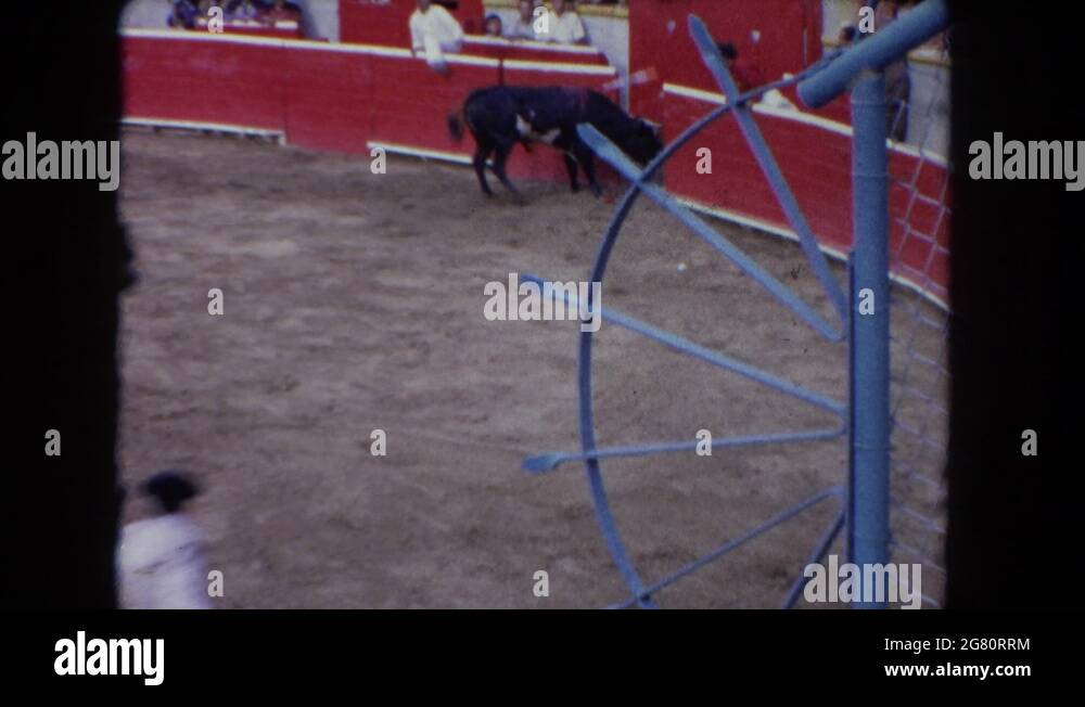 Ring fighting Stock Videos & Footage - HD and 4K Video Clips - Alamy