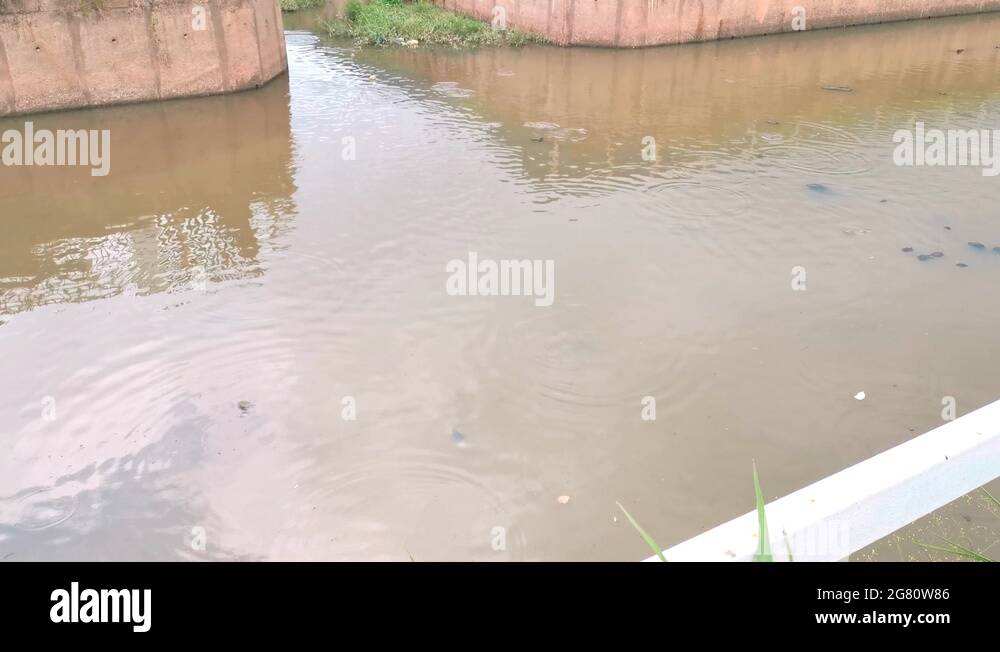 Water pollutions Stock Videos & Footage - HD and 4K Video Clips - Alamy