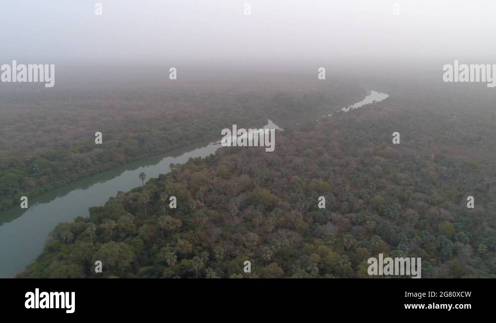 Equatorial forests Stock Videos & Footage - HD and 4K Video Clips - Alamy