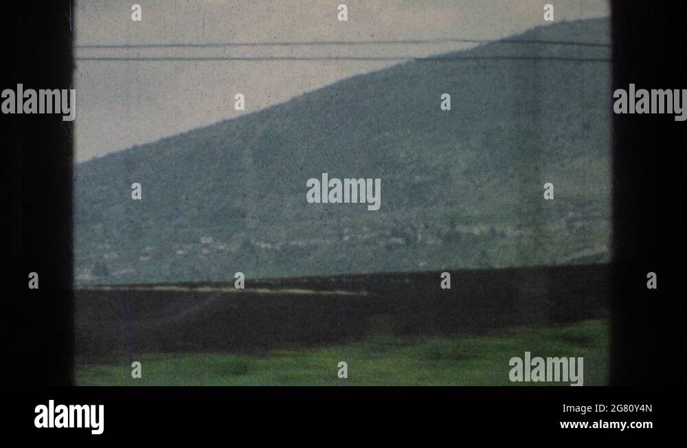 Jacobs tree Stock Videos & Footage - HD and 4K Video Clips - Alamy