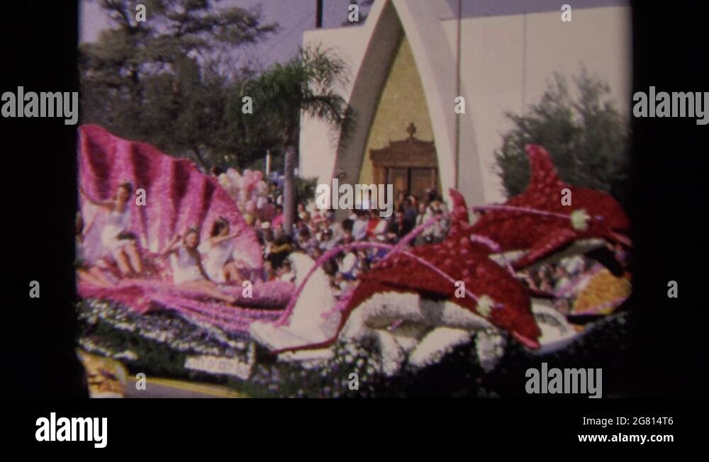 Dolphin shell Stock Videos & Footage - HD and 4K Video Clips - Alamy