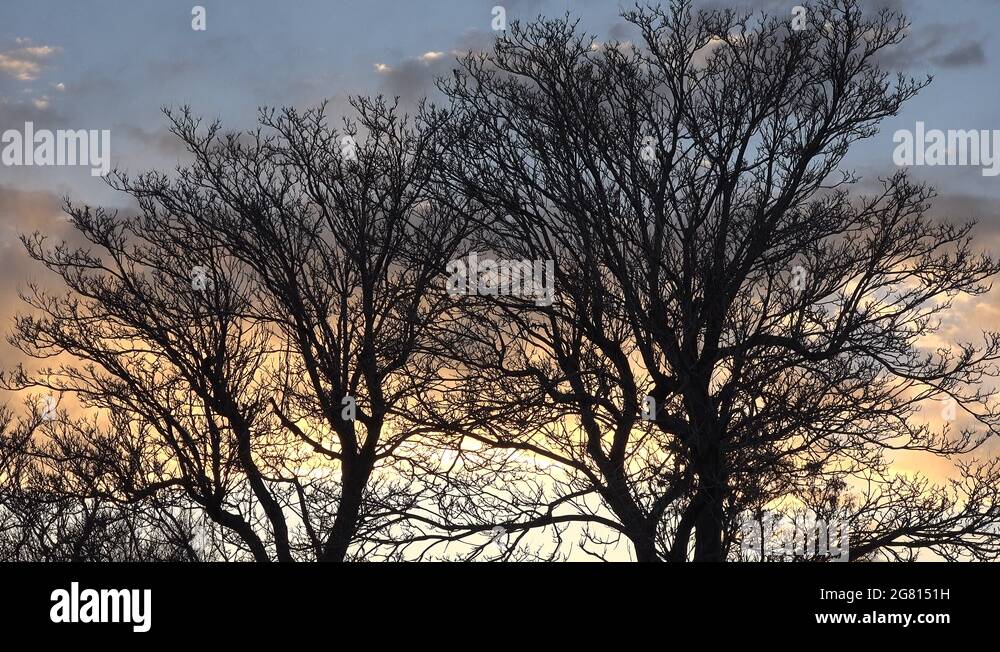 Light colored sky Stock Videos & Footage - HD and 4K Video Clips - Alamy