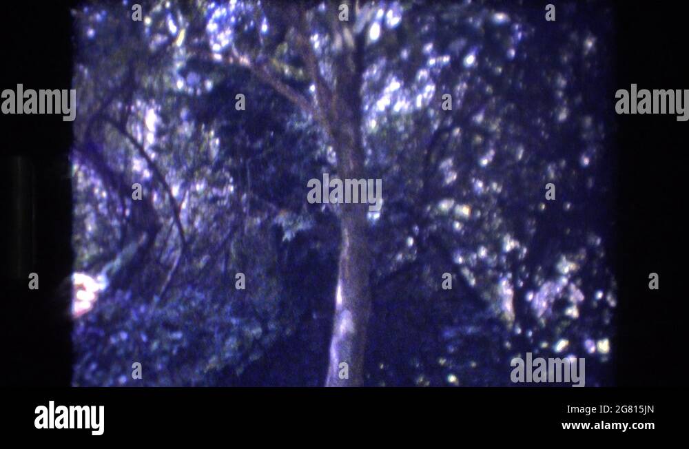 HONOLULU OAHU HAWAII USA-1977: A Man Standing Near A Tree With An ...