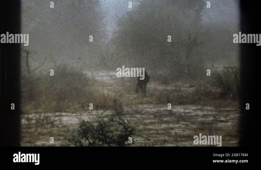 Cape danger Stock Videos & Footage - HD and 4K Video Clips - Alamy