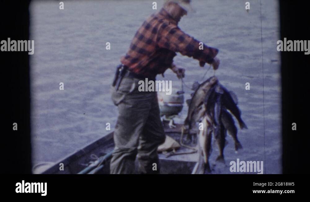 Batch of fish Stock Videos & Footage - HD and 4K Video Clips - Alamy