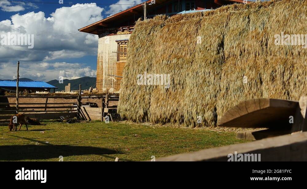 Tibet house Stock Videos & Footage - HD and 4K Video Clips - Alamy