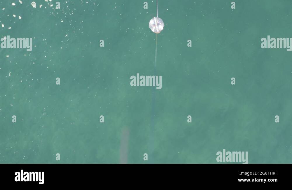 Body east Stock Videos & Footage - HD and 4K Video Clips - Alamy