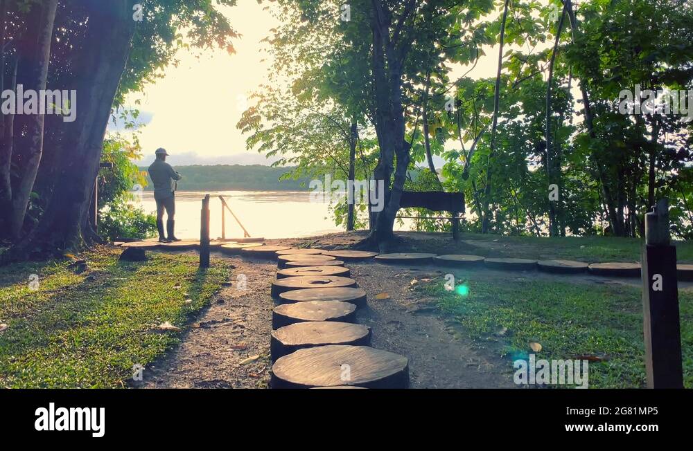 Walking the amazon Stock Videos & Footage - HD and 4K Video Clips - Alamy