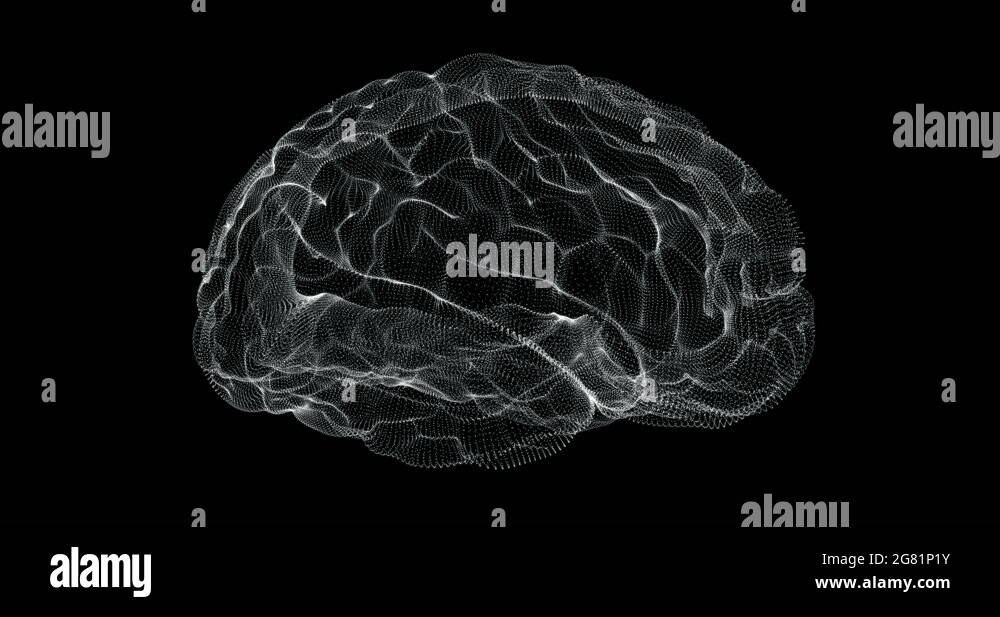 Hologram representation screen 3d of brain in the human body - loop ...