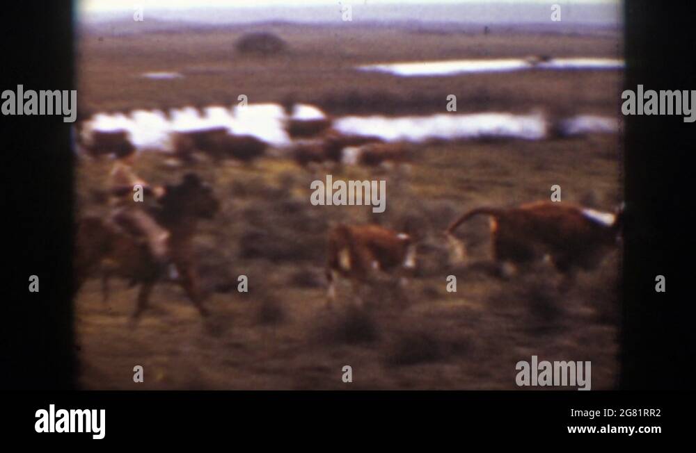 Cowboy open range Stock Videos & Footage - HD and 4K Video Clips - Alamy
