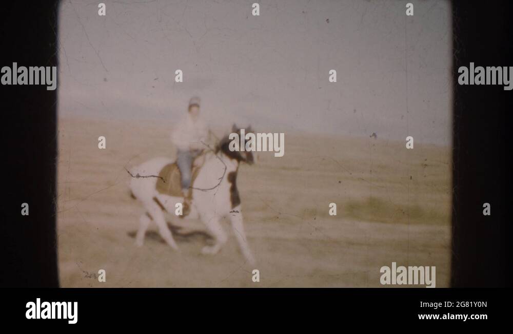 Horse relaxed Stock Videos & Footage - HD and 4K Video Clips - Alamy