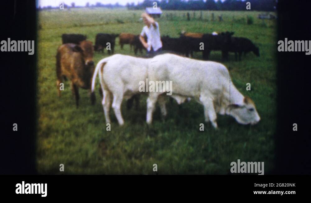 the-exes-stock-videos-footage-hd-and-4k-video-clips-alamy