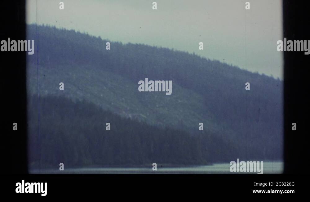 Pine edge Stock Videos & Footage - HD and 4K Video Clips - Alamy