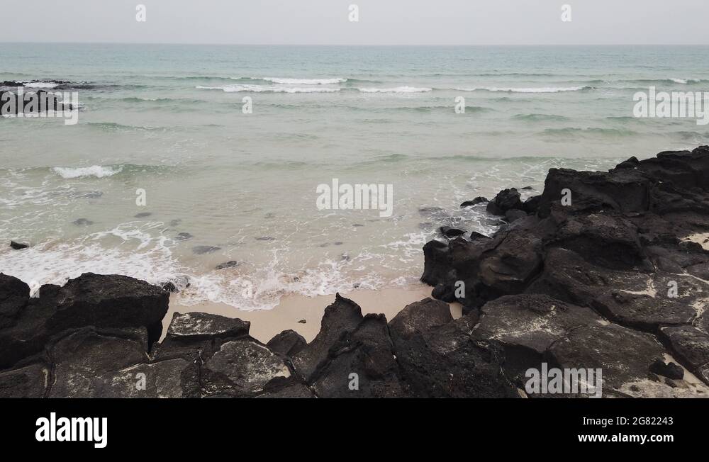 Gwakji gwa-mul beach trail in Jeju island. South Korea Stock Video ...