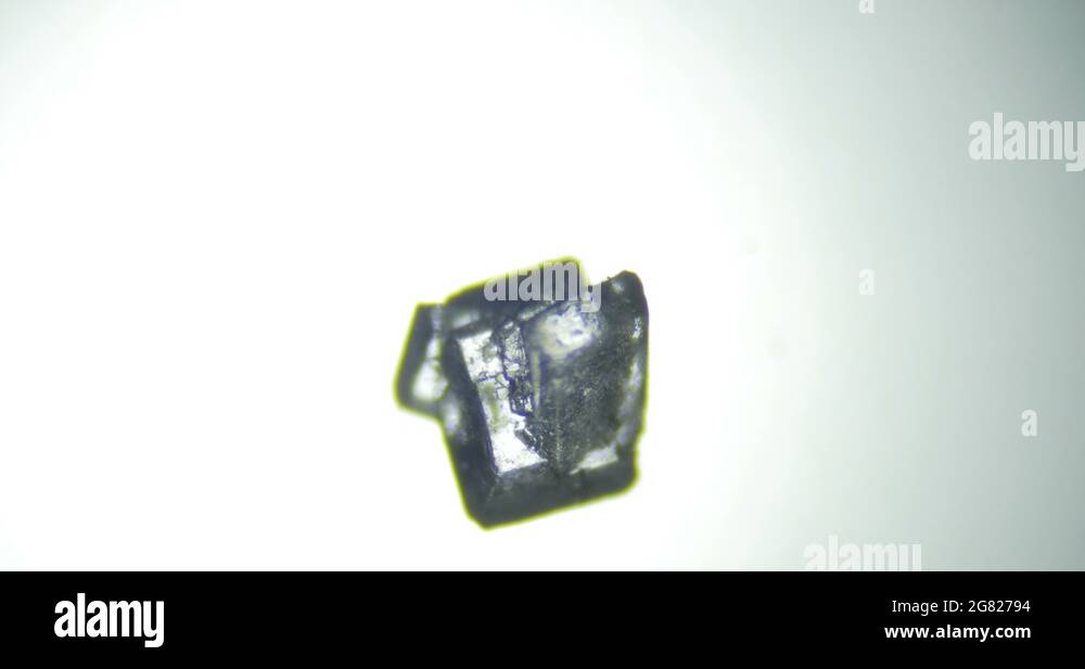 Horizontal microscope Stock Videos & Footage - HD and 4K Video Clips ...