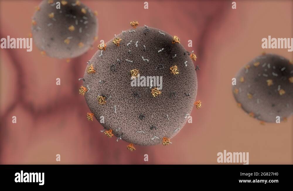 Hiv structure Stock Videos & Footage - HD and 4K Video Clips - Alamy
