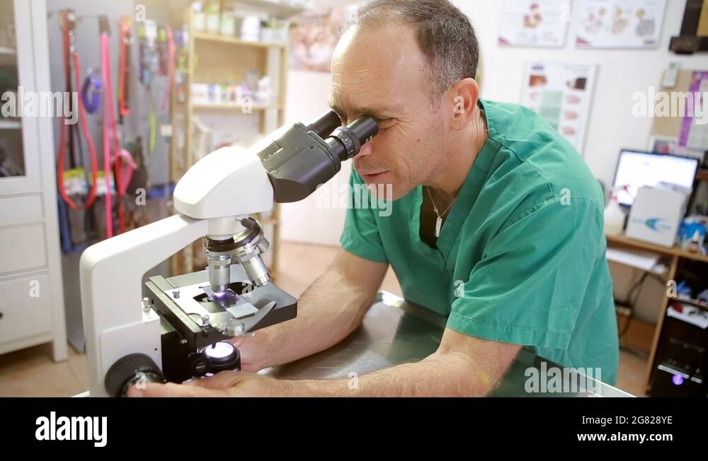 Laboratory animal medicine Stock Videos & Footage - HD and 4K Video ...