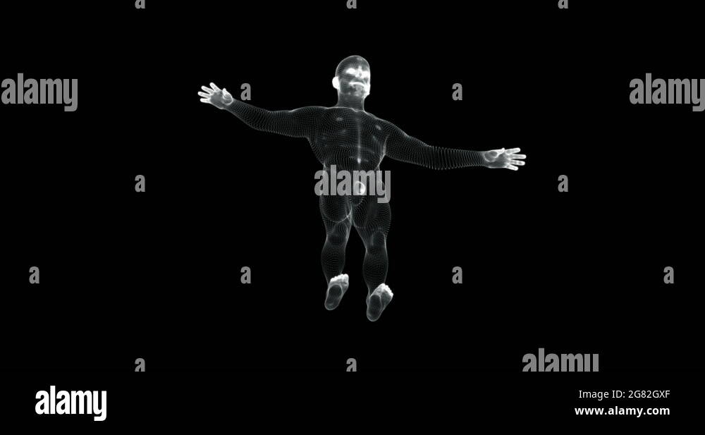 Vitruvian man muscles Stock Videos & Footage - HD and 4K Video Clips ...