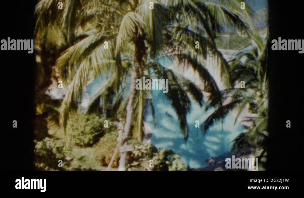 ACAPULCO MEXICO-1962: The Coconut Tree Is In There It Is Look Like A ...