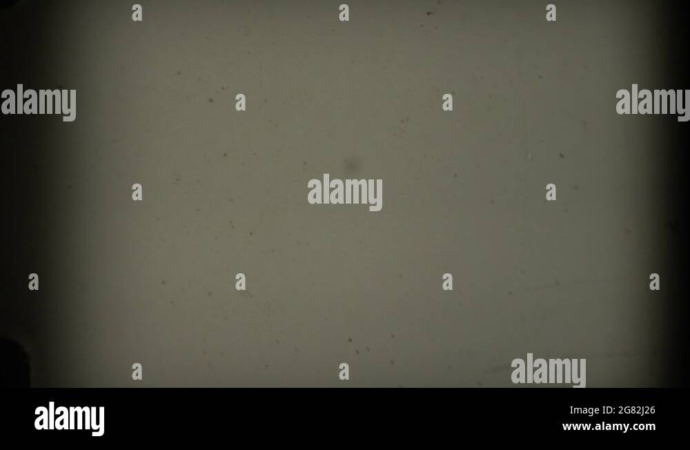 CALIFORNIA USA-1969: Flies Flying Around Hunting For Their Foods Stock ...