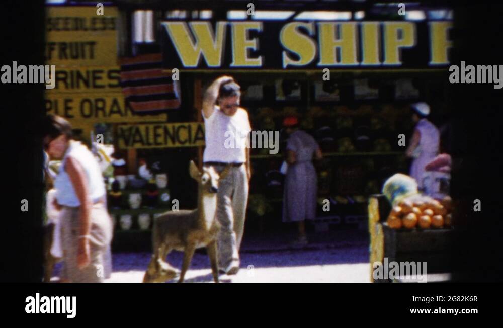 Lively place Stock Videos & Footage - HD and 4K Video Clips - Alamy