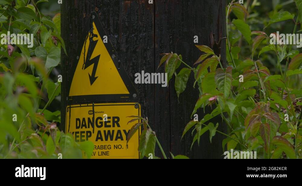 Danger Keep Away sign electricity pylon telegraph pole overgrown ...