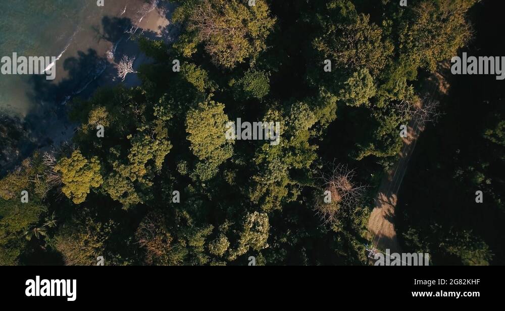 Manzanillo and costa rica Stock Videos & Footage - HD and 4K Video ...