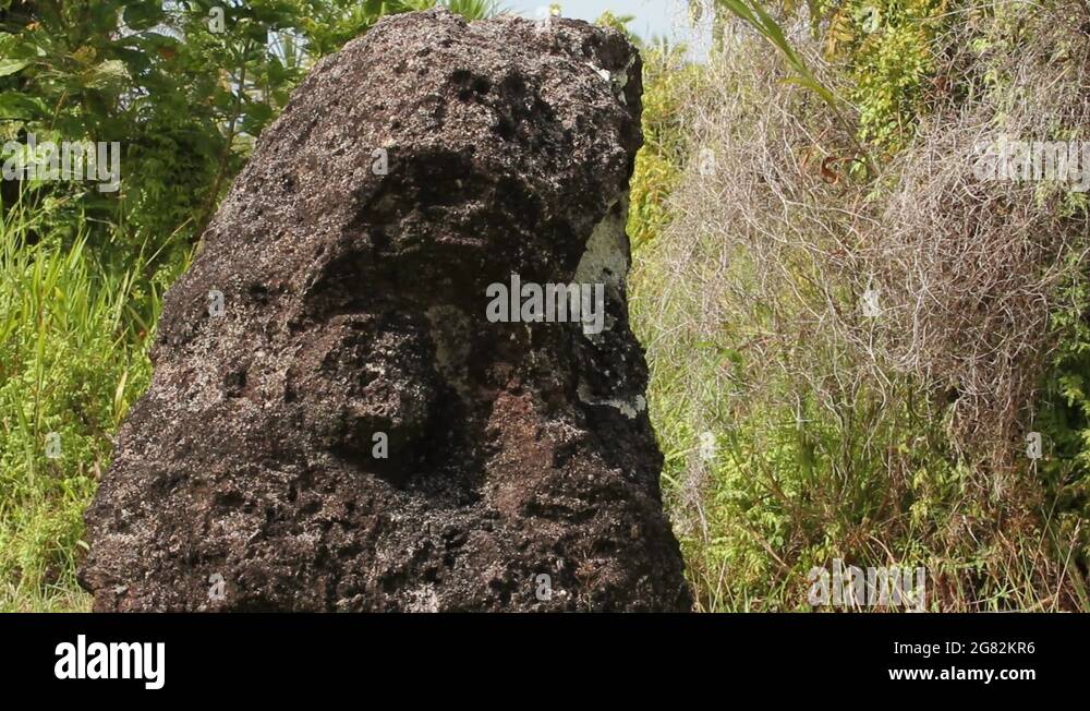 Tree trunk pillars Stock Videos & Footage - HD and 4K Video Clips - Alamy