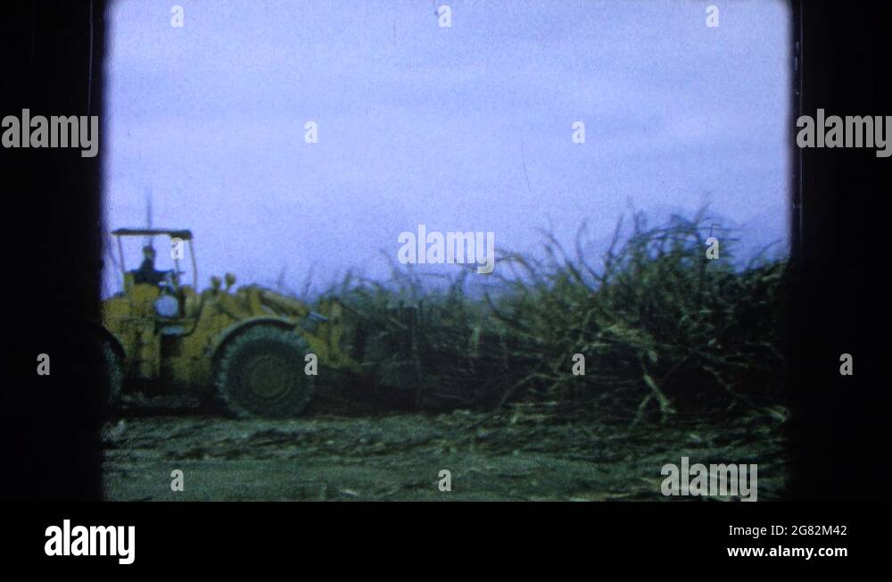 Reap crop Stock Videos & Footage - HD and 4K Video Clips - Alamy