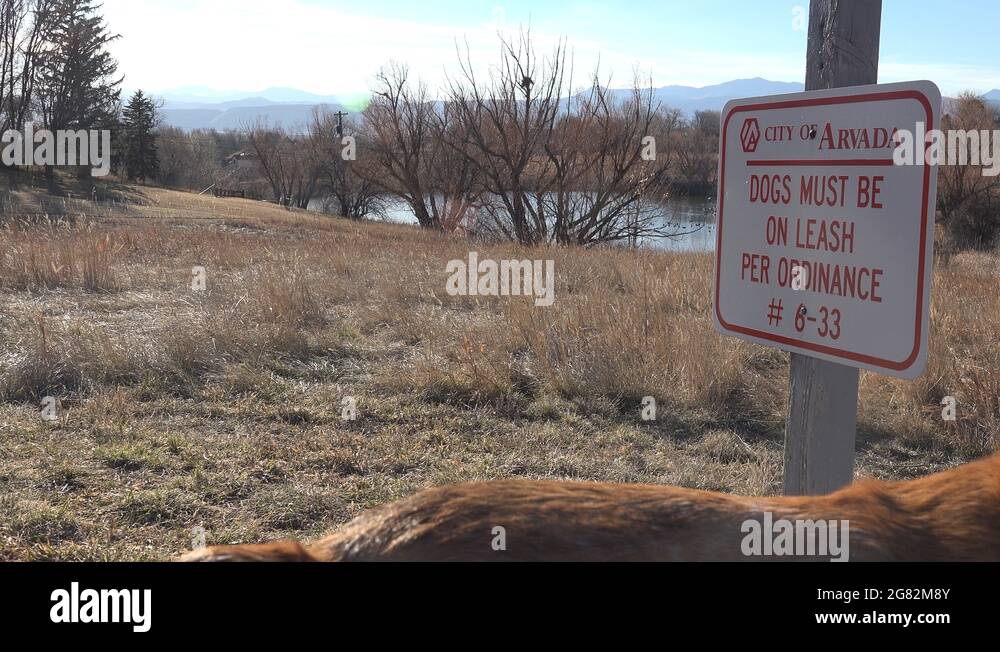 Leash sign Stock Videos & Footage - HD and 4K Video Clips - Alamy