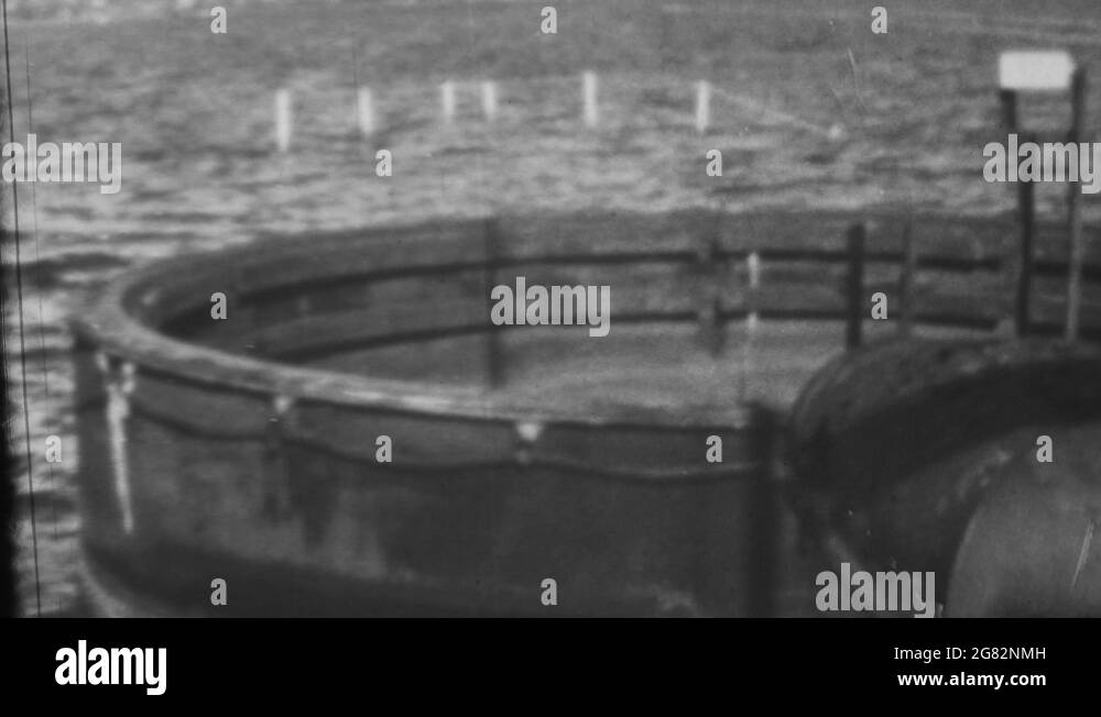 Concrete old water tank Stock Videos & Footage - HD and 4K Video Clips ...