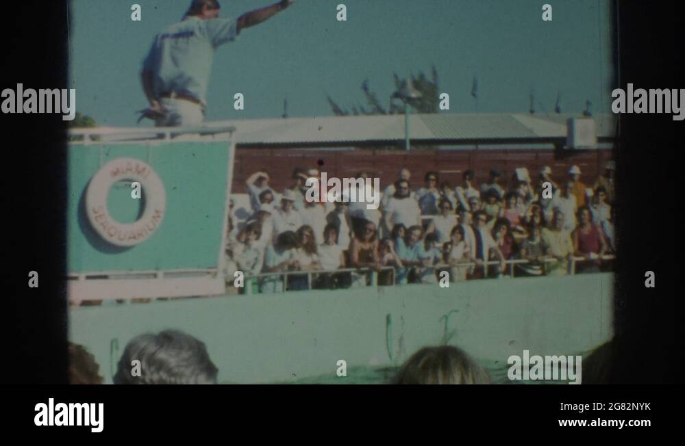 MIAMI FLORIDA USA-1971: At The Aquarium Watching The Dolphin Show With ...