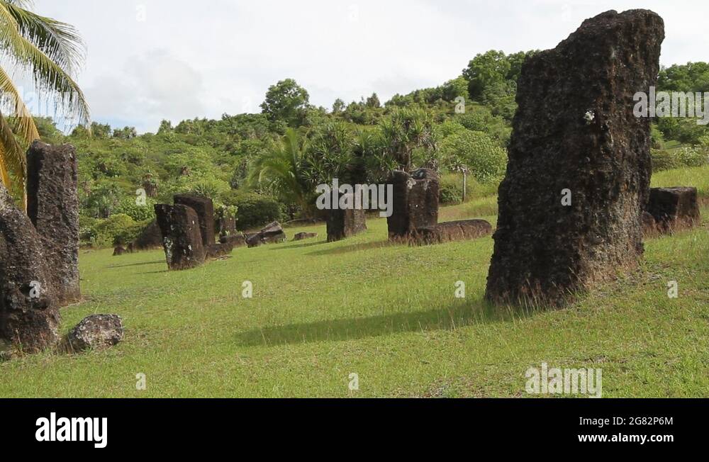 Tree ancient historic history Stock Videos & Footage - HD and 4K Video ...