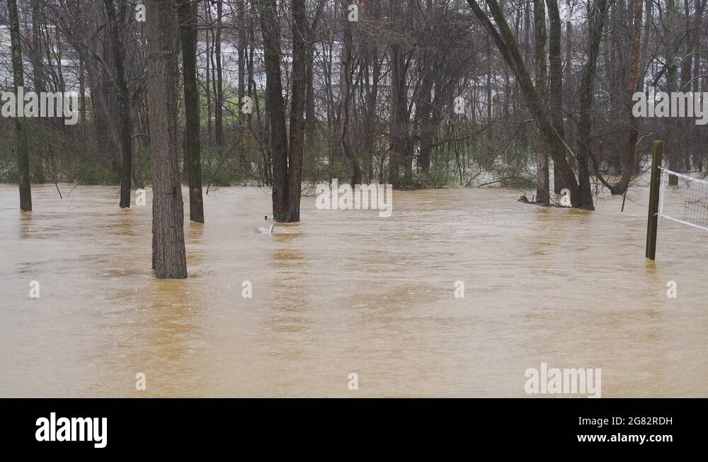 Flooded park Stock Videos & Footage - HD and 4K Video Clips - Alamy