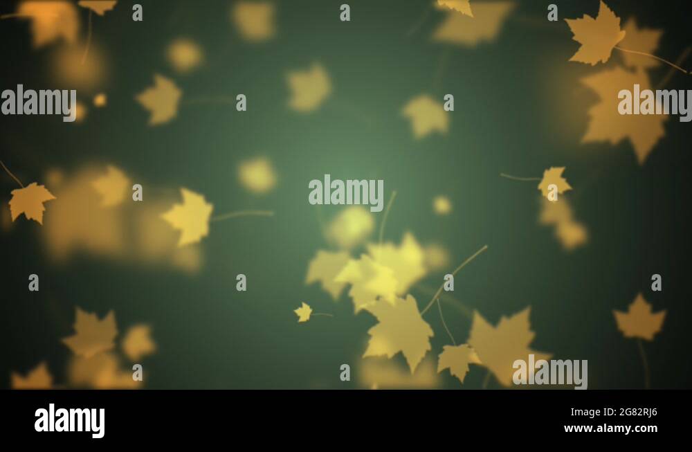 Field maple autumn leaf Stock Videos & Footage - HD and 4K Video Clips ...