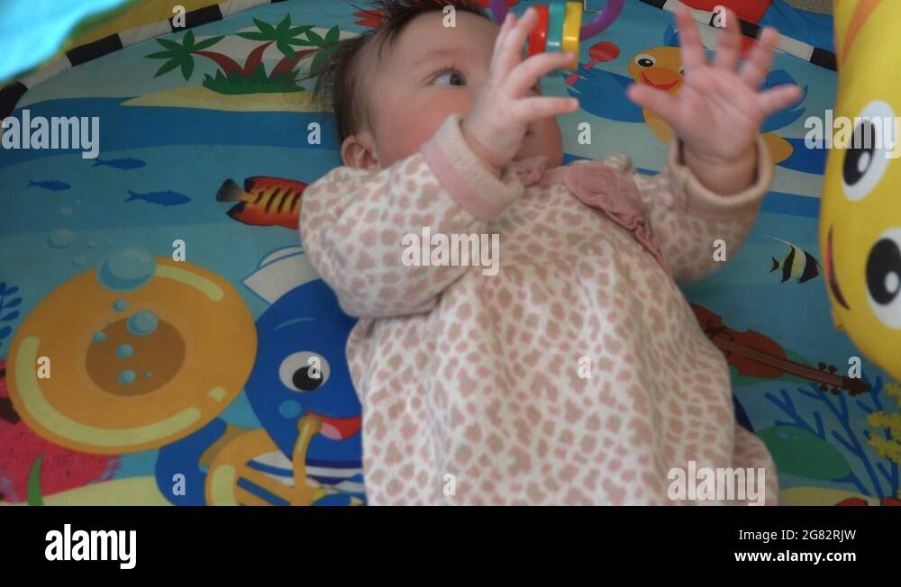 Duck fish Stock Videos & Footage - HD and 4K Video Clips - Alamy