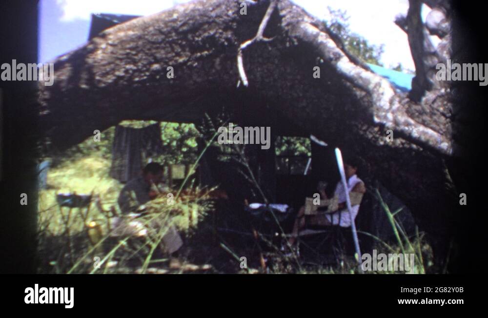 Man eating tree Stock Videos & Footage - HD and 4K Video Clips - Alamy