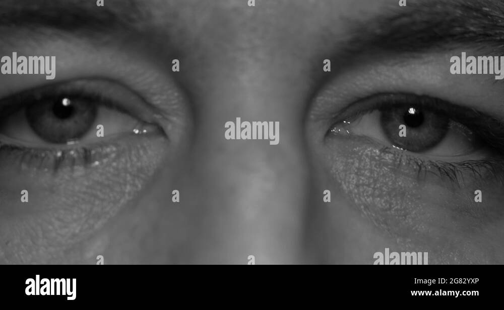 Human visual perception Stock Videos & Footage - HD and 4K Video Clips ...